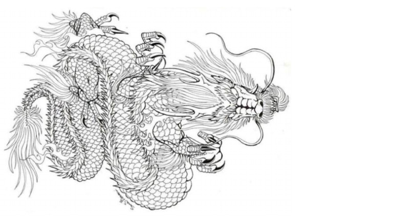 Dragon | PDF