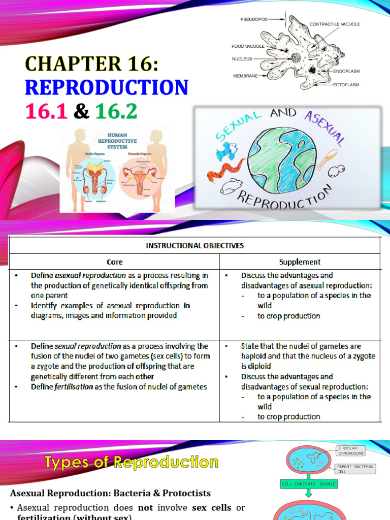 Bio S4 C16 Reproduction 16.1 & 16.2 | PDF | Reproduction | Fungus