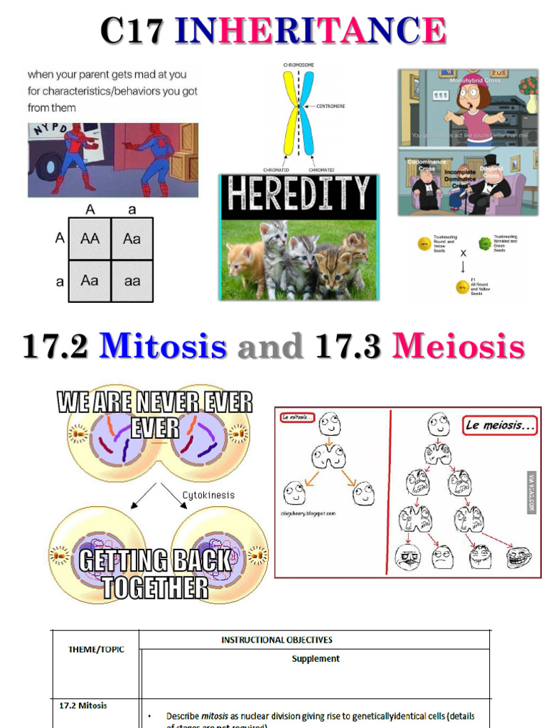 Bio S4 C17 Inheritance All Notes SV 2 | PDF | Meiosis | Dominance ...