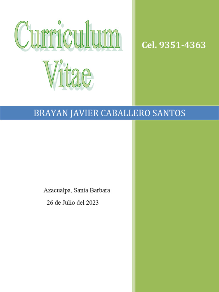 Curriculum Vitae Brayan | PDF