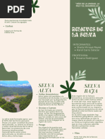 Relieve de La Selva Peruana | PDF | Perú | Andes