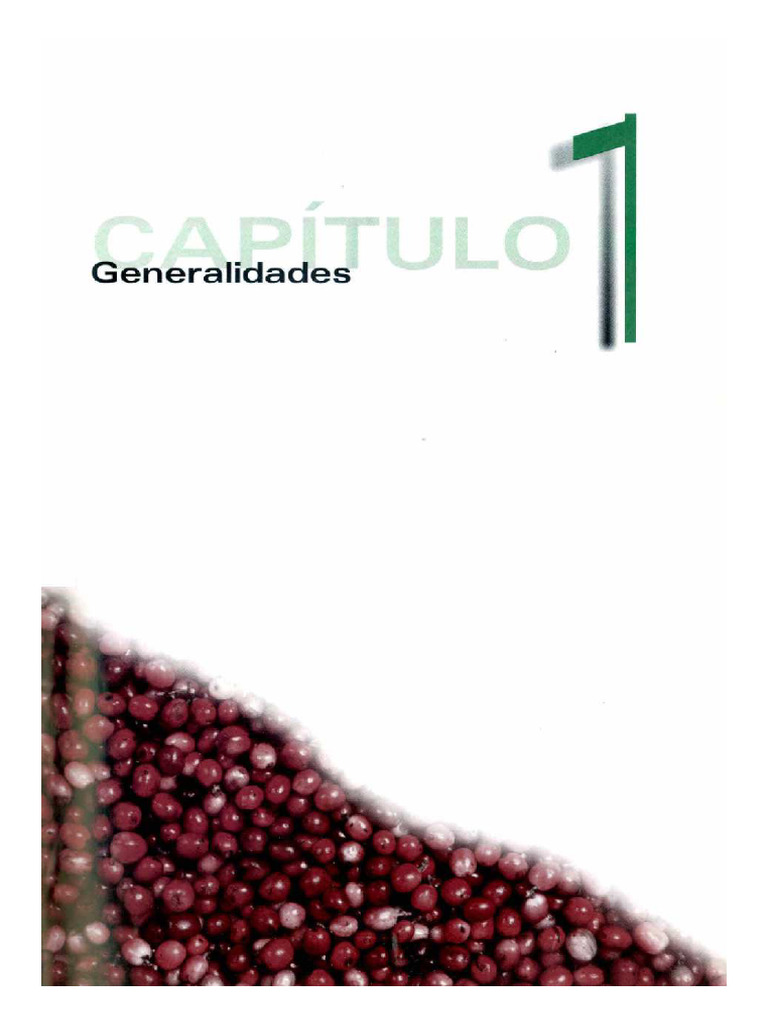 Generalidades | PDF