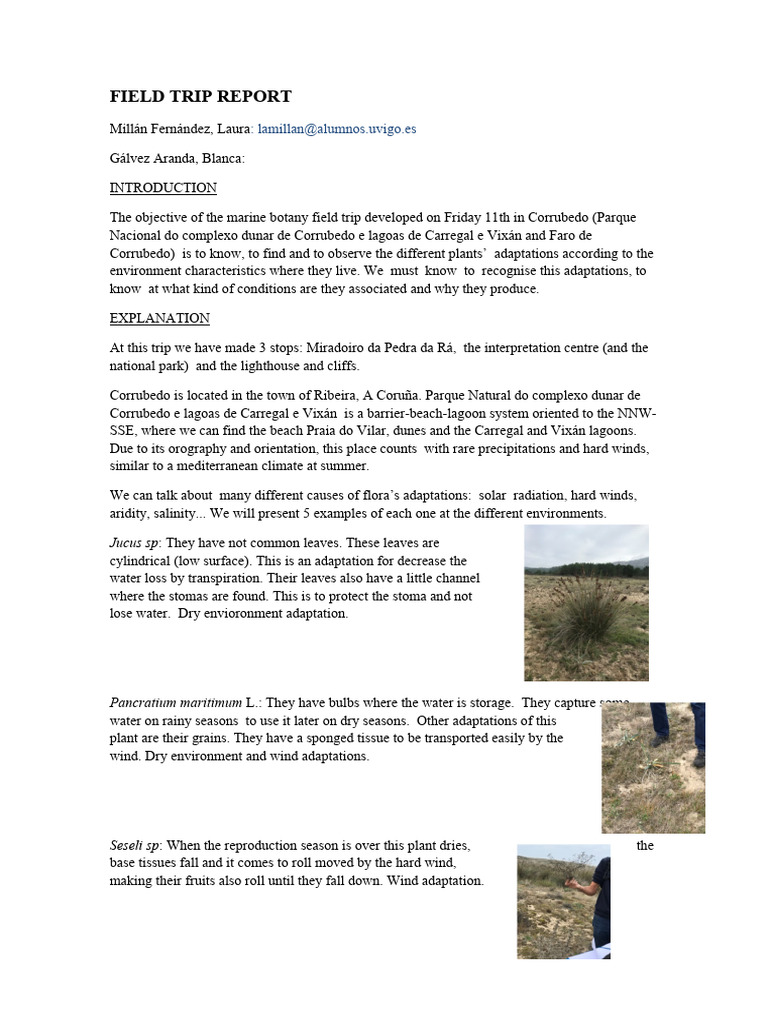 Field Trip Report | PDF