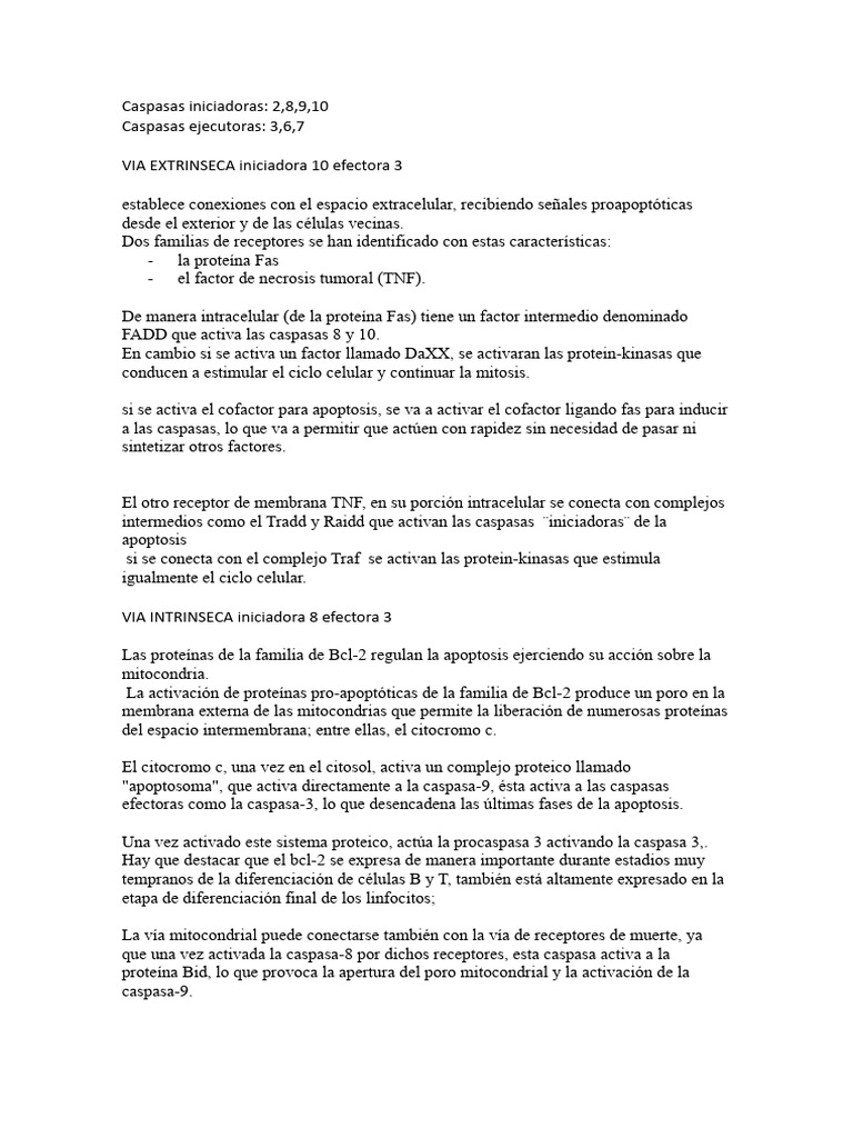 Caspasas Iniciadoras | PDF | Caspasa | Apoptosis