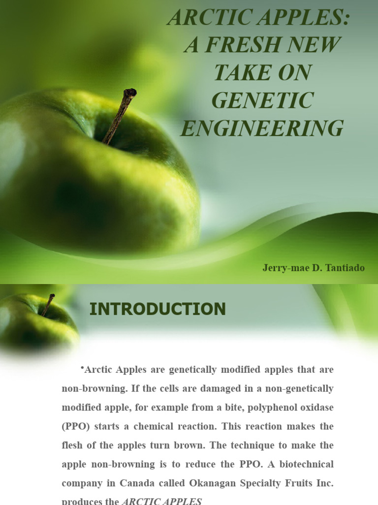 Arctic Apples | PDF | Rna Interference | Virus