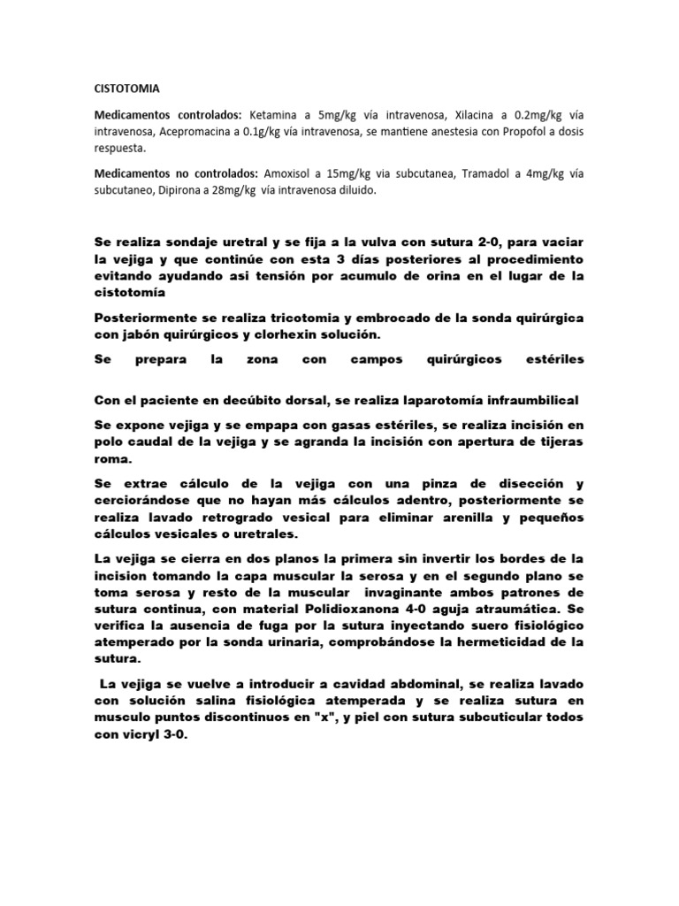 Cistotomía: Procedimiento Quirúrgico Detallado | PDF