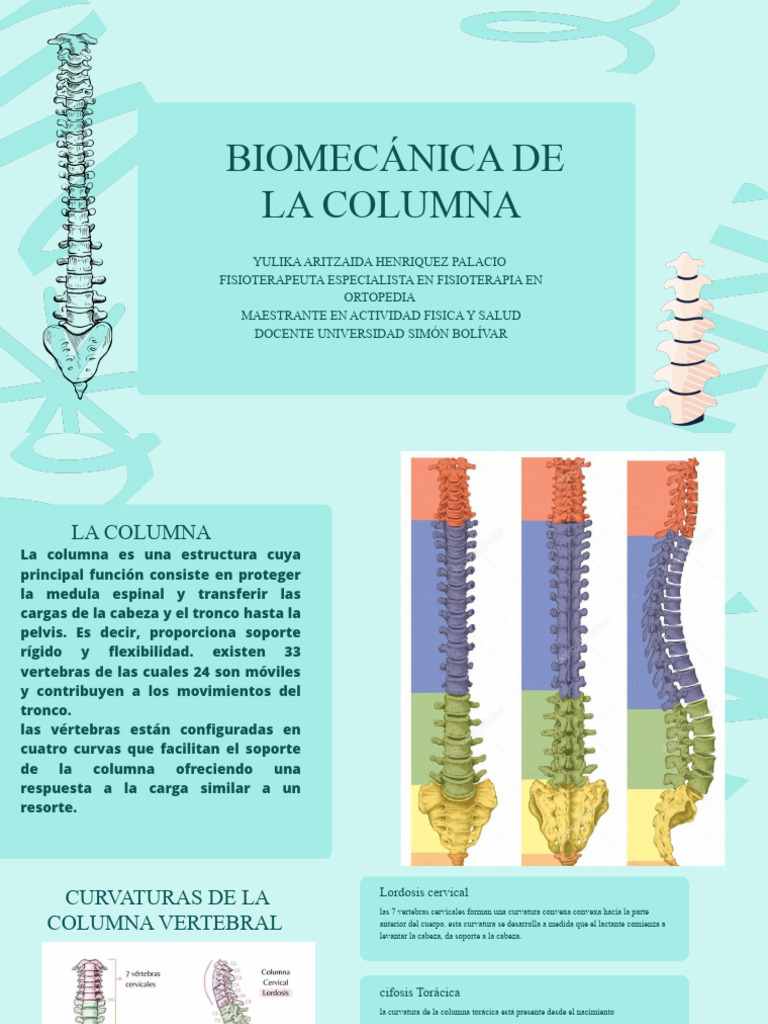 Biomecanica de La Columna | PDF | La columna vertebral | Vértebra