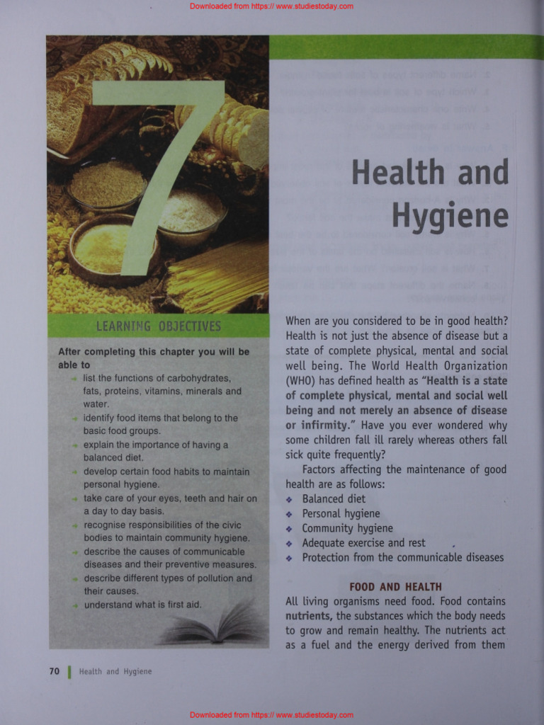 Class 6 Health and Hygiene Resources | PDF | Wellness