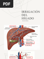 Irrigación Del Esofago | PDF | Tracto gastrointestinal | Estómago