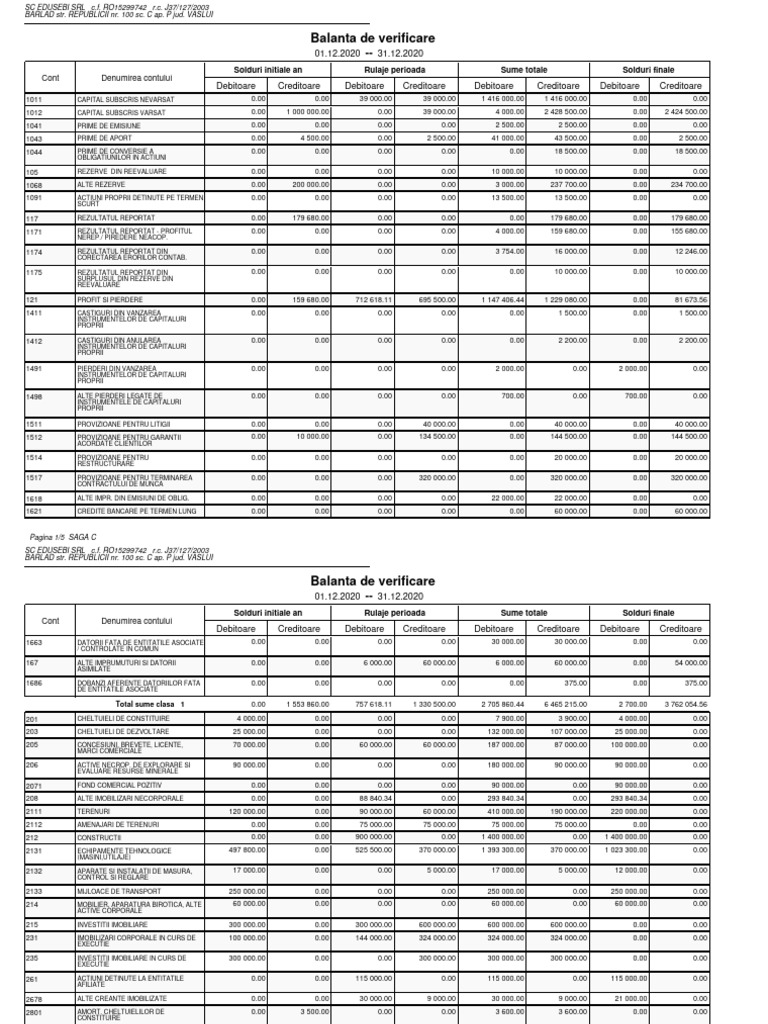 Balanta Finala 31.12.2020 | PDF