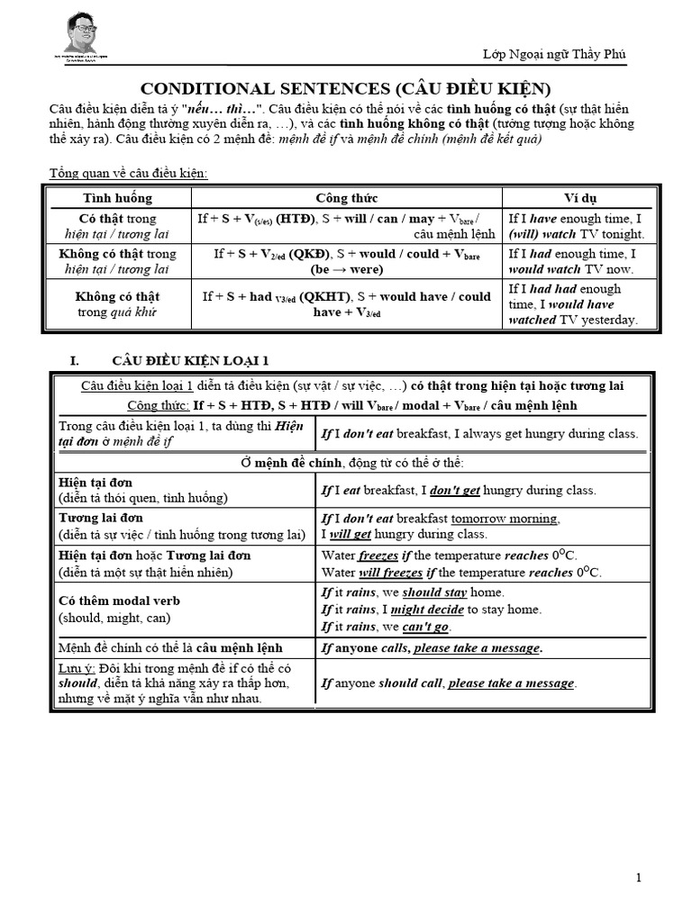 Conditional Sentences | PDF