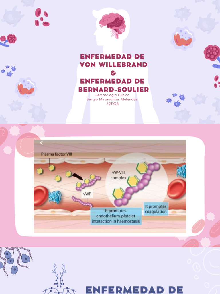 Enfermedad de Von Willebrand 4.3.2 Enfermedad de Bernard-Soulier | PDF | Anatomia animal ...