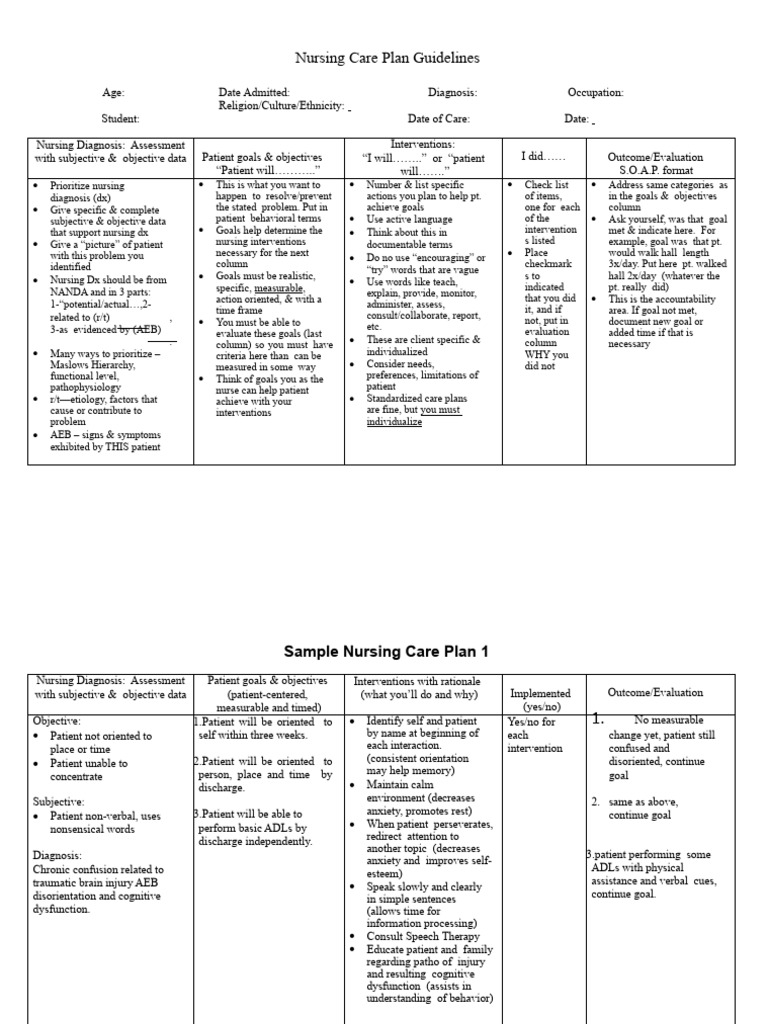 CarePlanGuide NurseStudent | PDF | Pain | Nursing