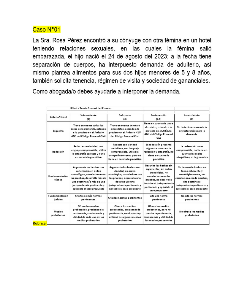 Caso N°01 Elaboarar Una Demanda 2023 | PDF | Caso de ley | Principios éticos