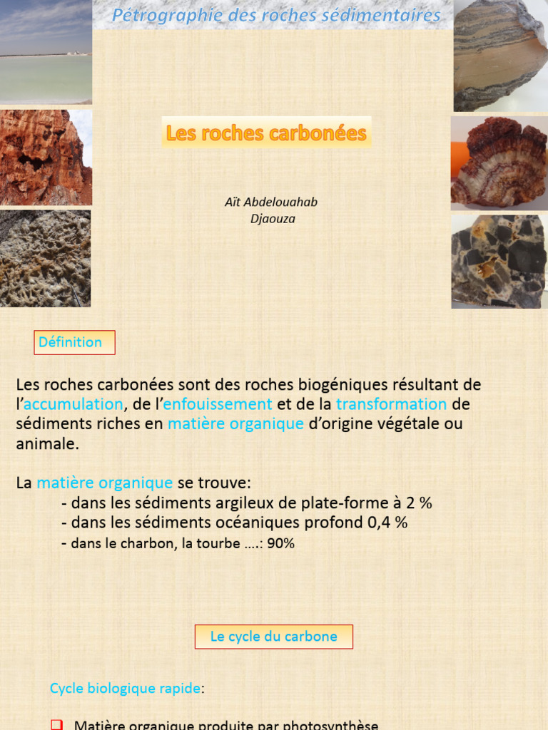 Les Roches Carbonées et leur Formation | PDF | Pétrole | Matière organique