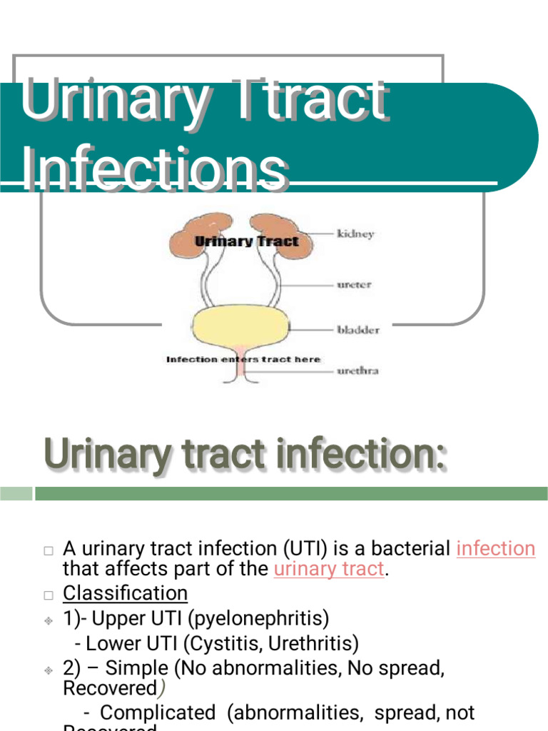 Urinary Ttract Infections | PDF | Urinary Tract Infection ...