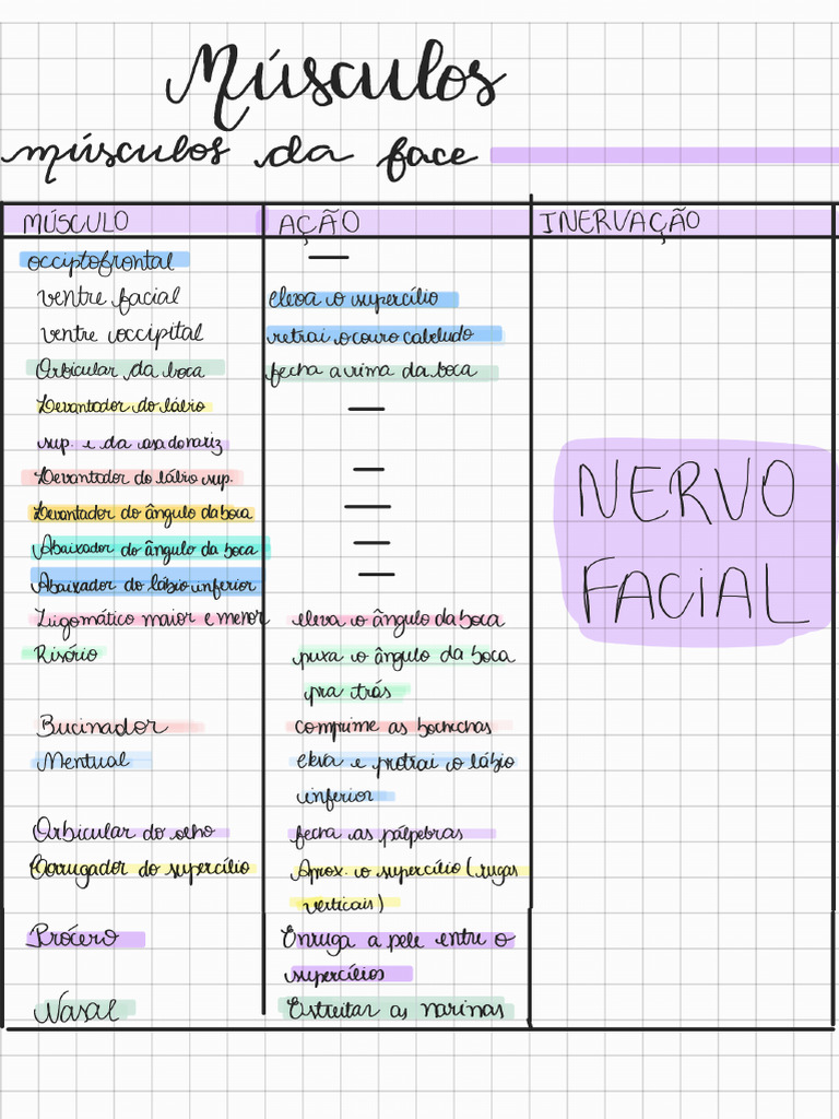 Músculos Da Face | PDF