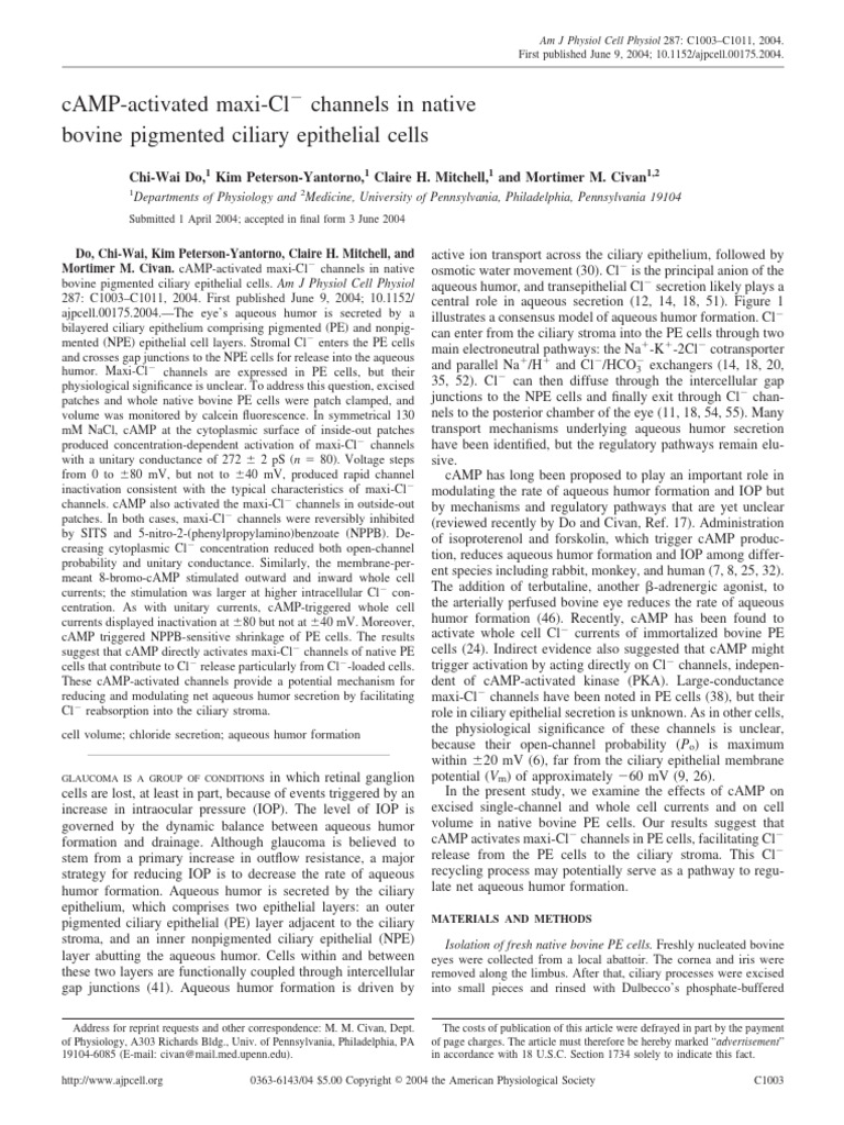 CAMP-Activated Maxi-Cl (-) Channels in Native Bovine Pigmented Ciliary Epithelial Cells. | PDF ...
