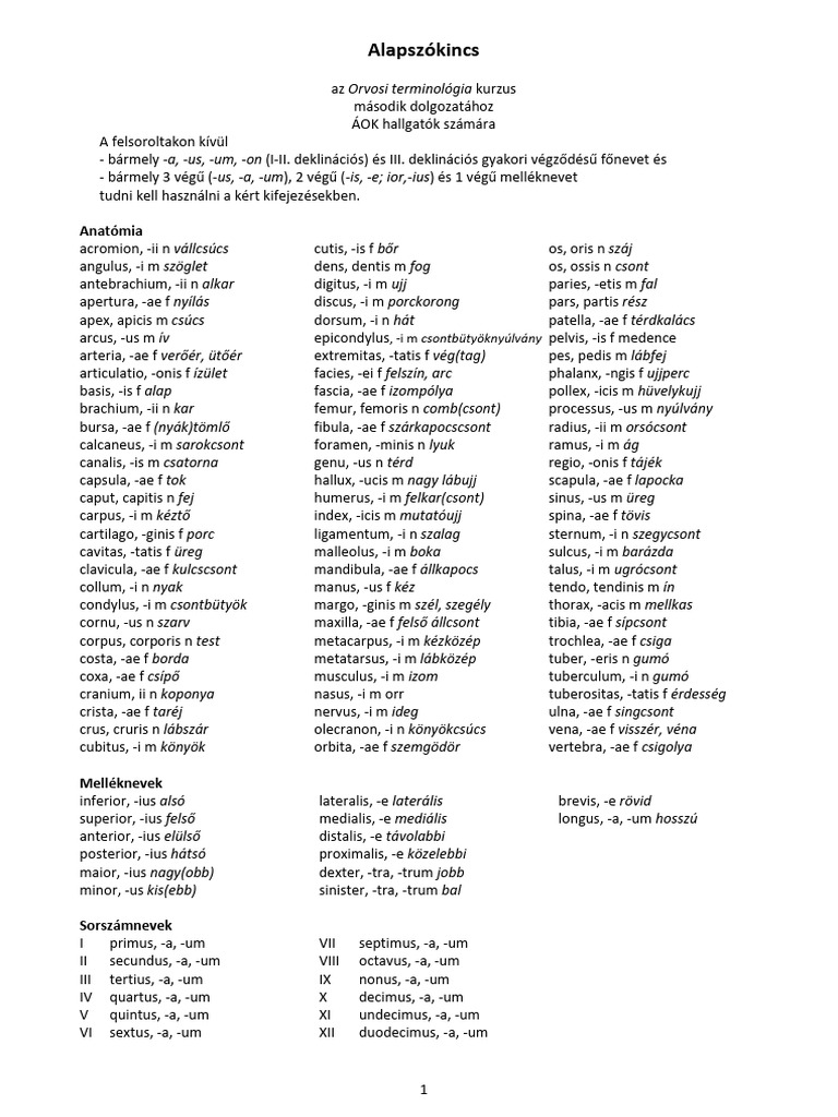 Alapszokincs 2022 AOK-2 | PDF