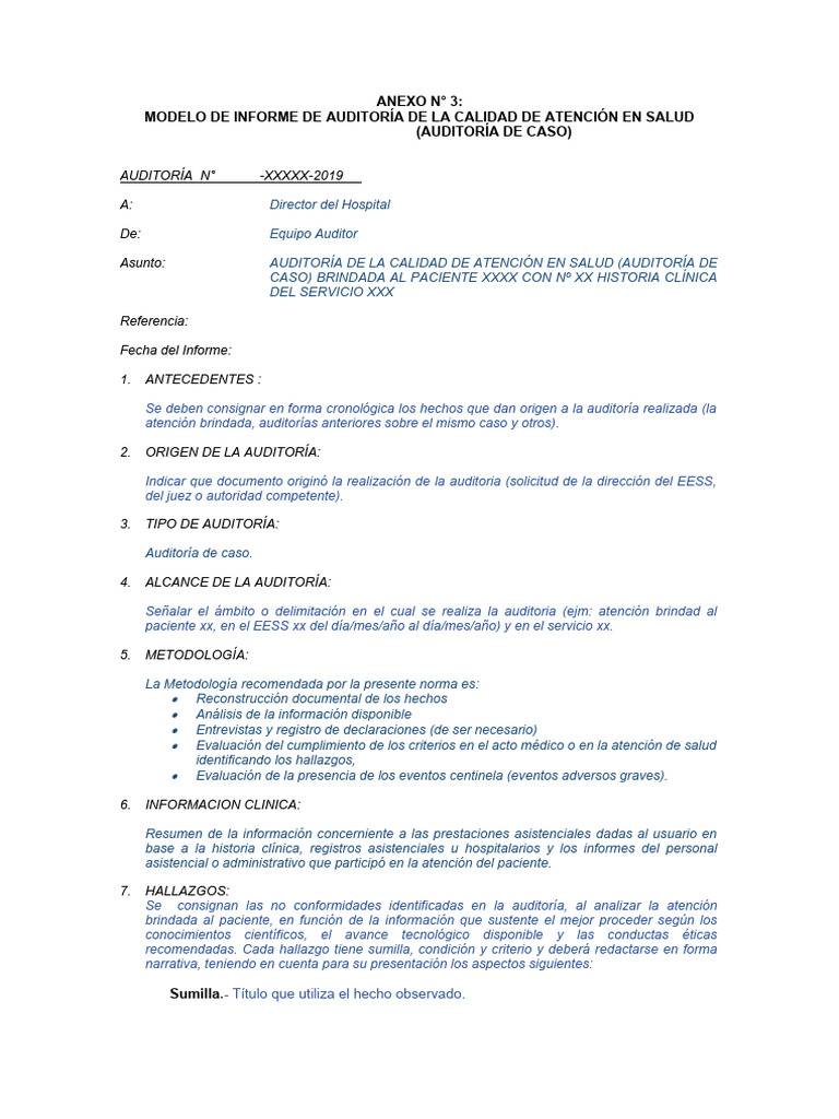 Esquema Informe Auditoria | PDF | Auditoría | Historial médico