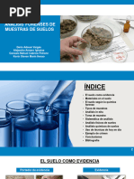 Apoyo CDC Formatos GNP 2024 | PDF | Medicina