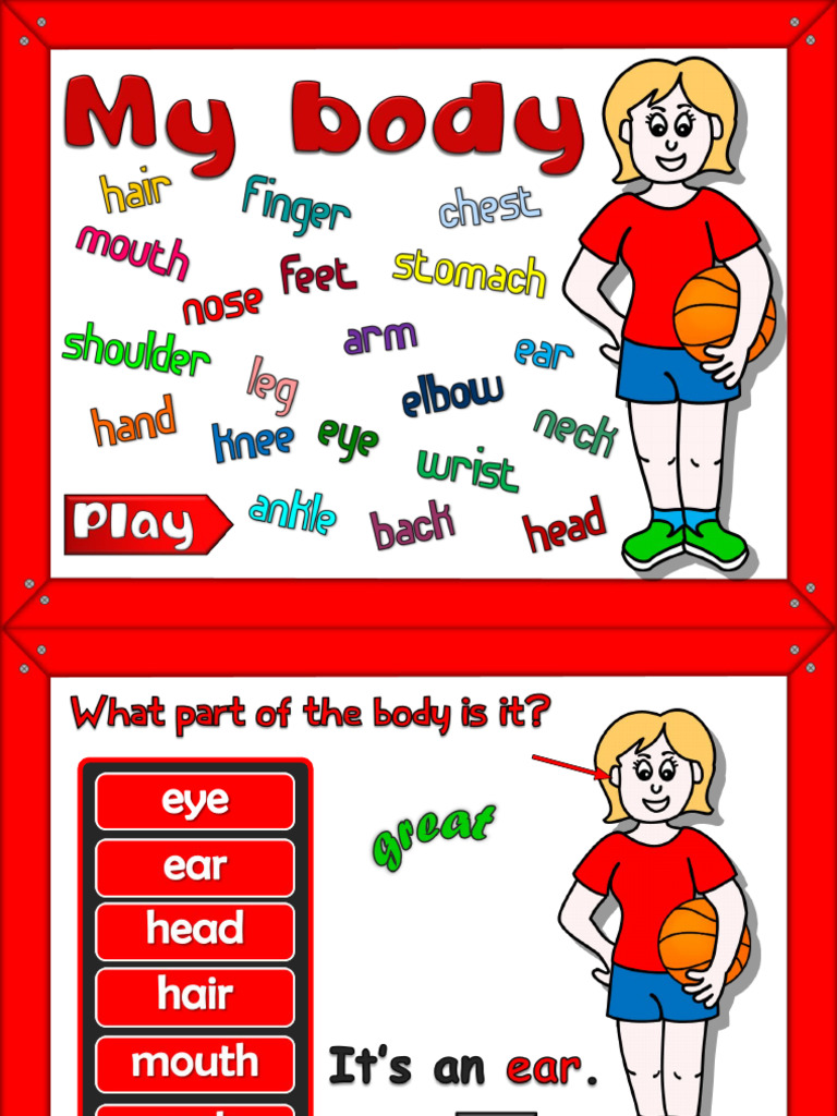 Parts of The Body | PDF