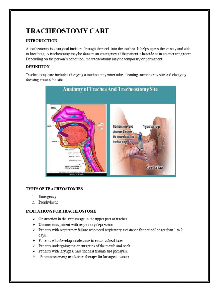ET Tube | PDF | Respiratory System | Surgery