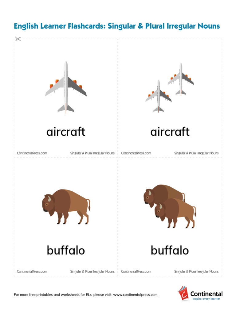 Irregular Nouns Flashcards for ELs | PDF | Plural | Syntactic Relationships