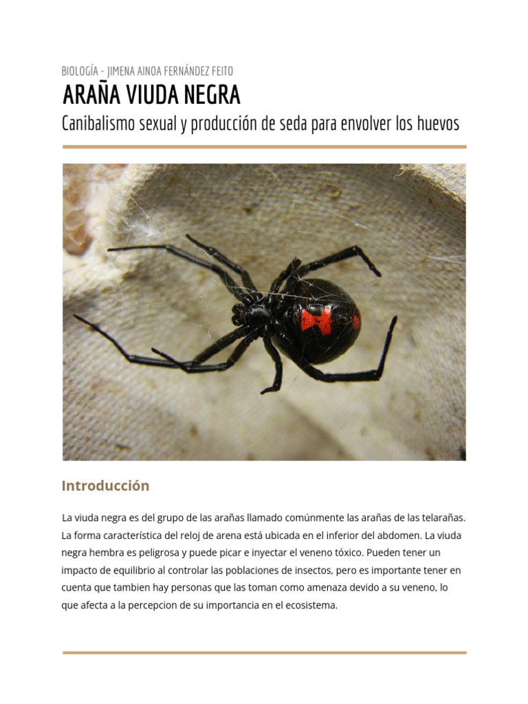 Estrategias Reproductivas de la Viuda Negra | PDF | Araña | Depredación