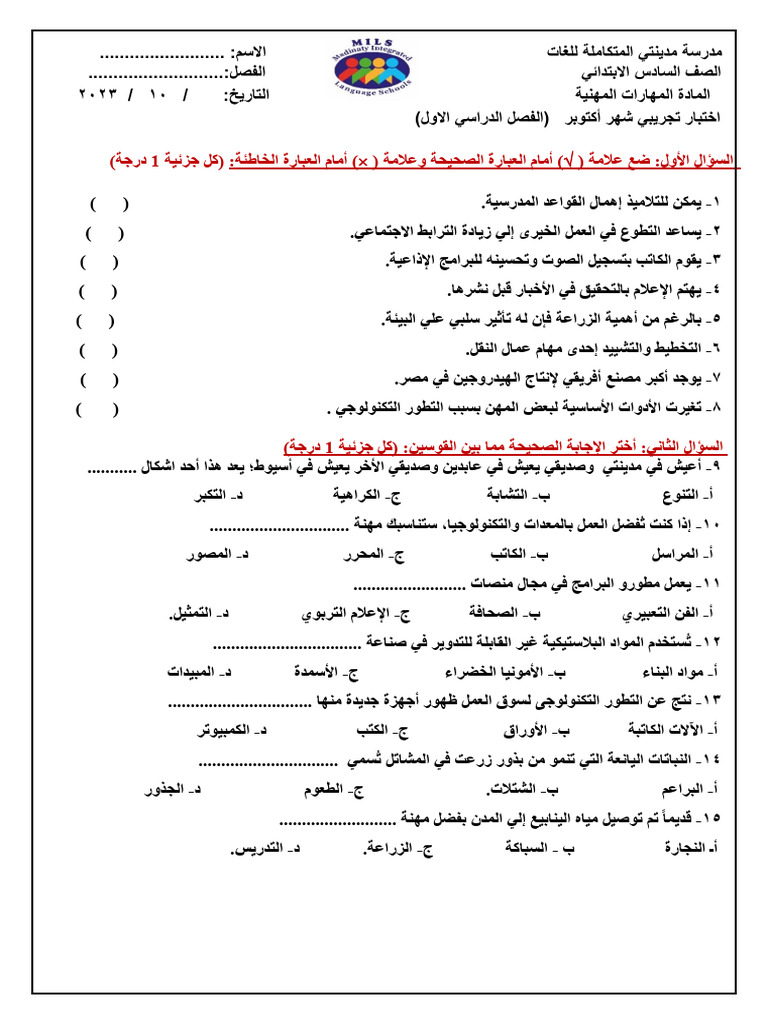 Professional Skills Mock Exam G6 | PDF