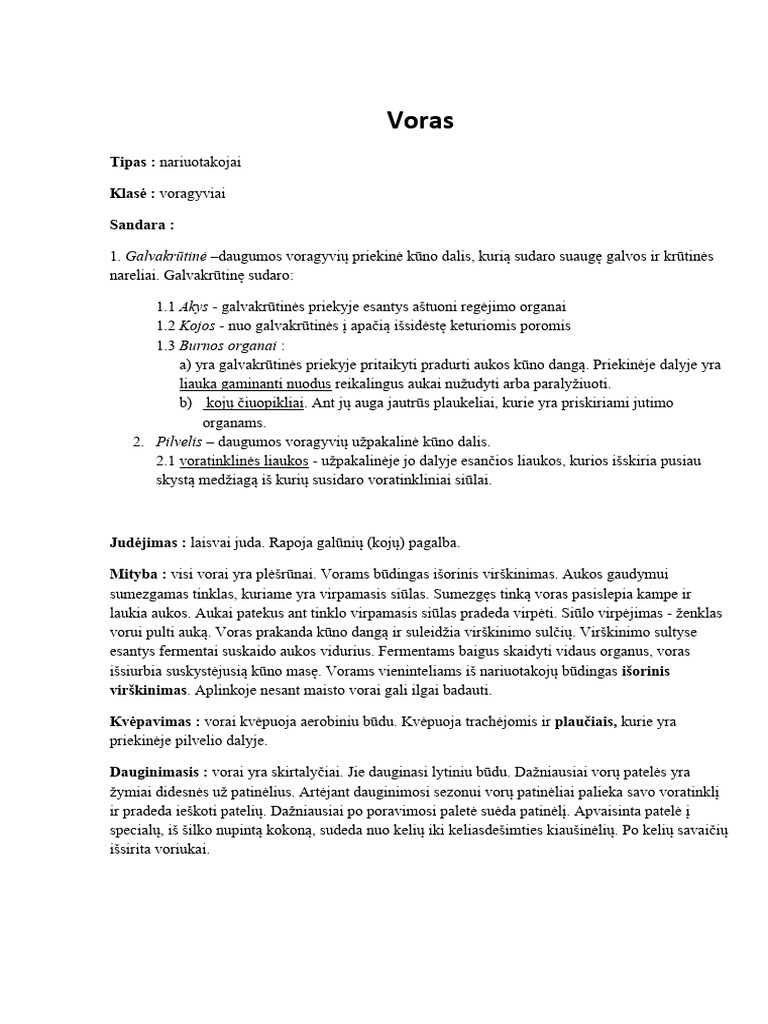 Voras | PDF