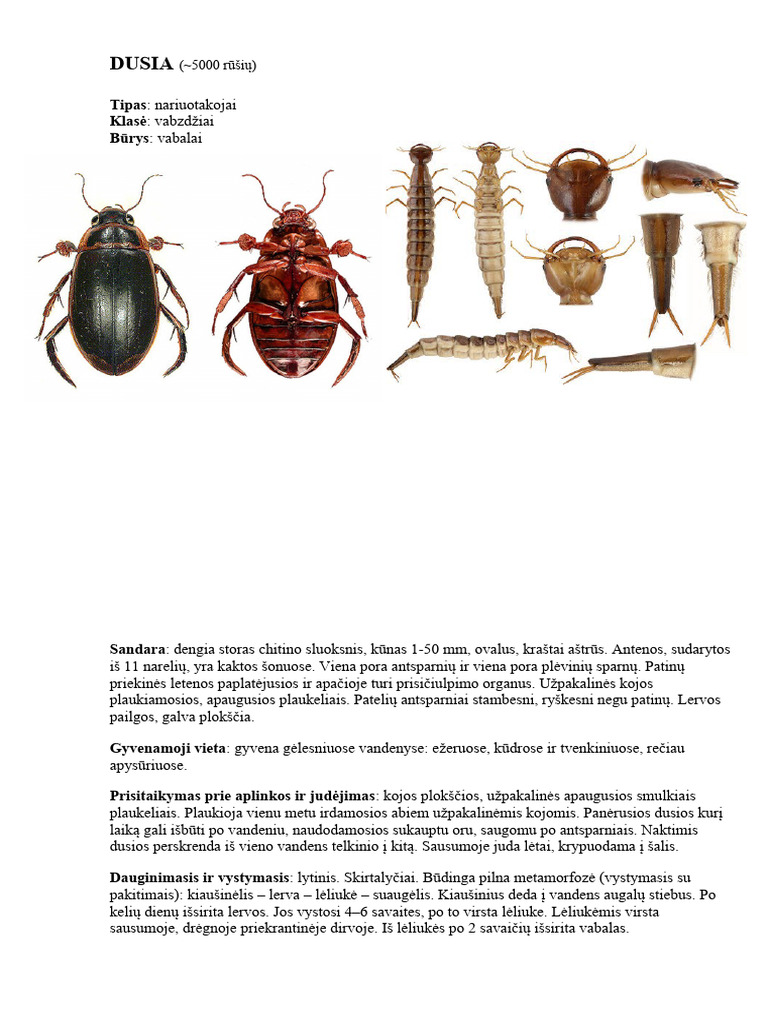 DUSIA Biologija | PDF