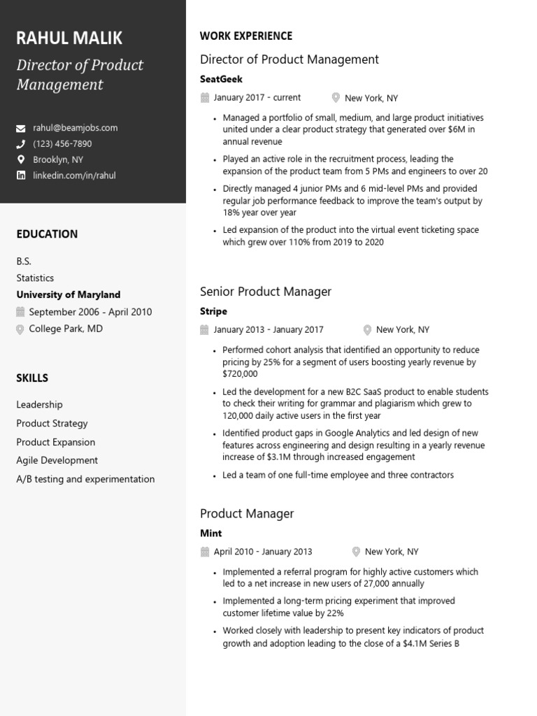Elegant Resume Template Pdf Marketing Economies 
