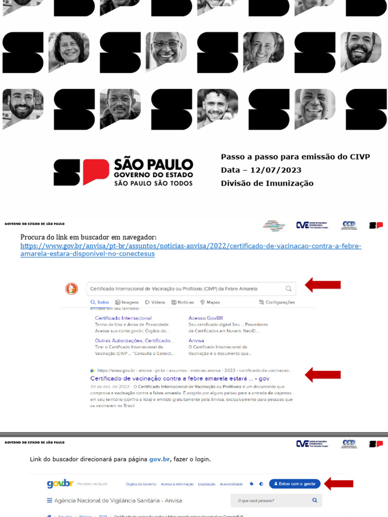 Passo A Passo para Emissão Do CIVP | PDF