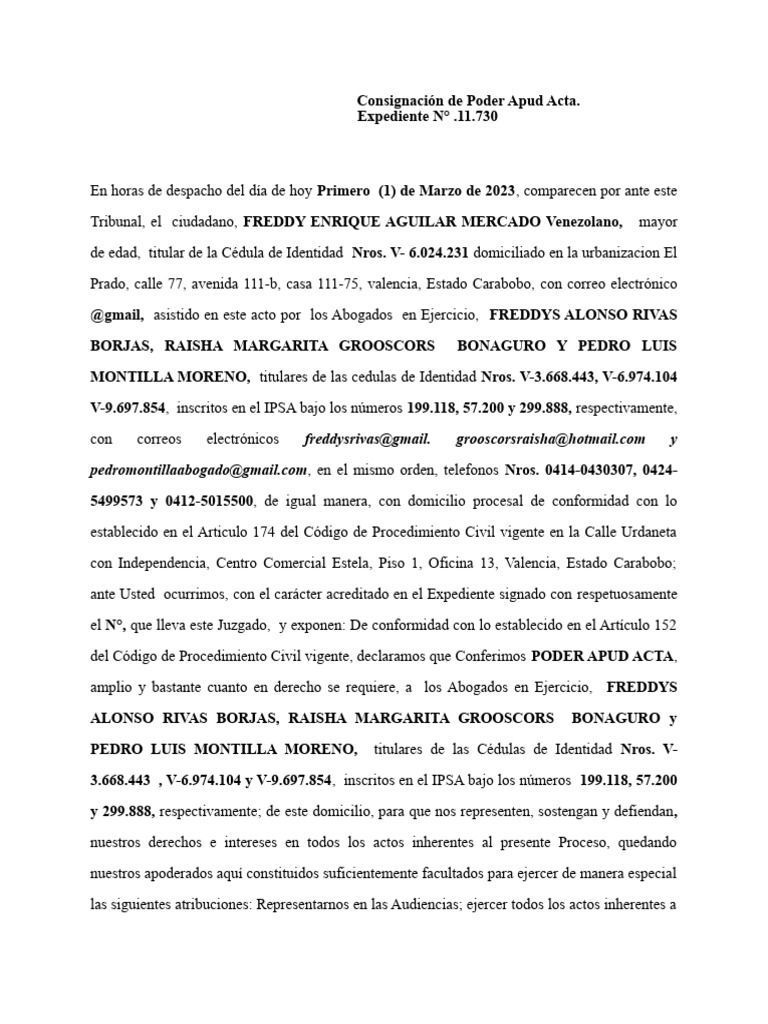 Poder Apud Acta FREDDY | PDF | Gobierno | Justicia