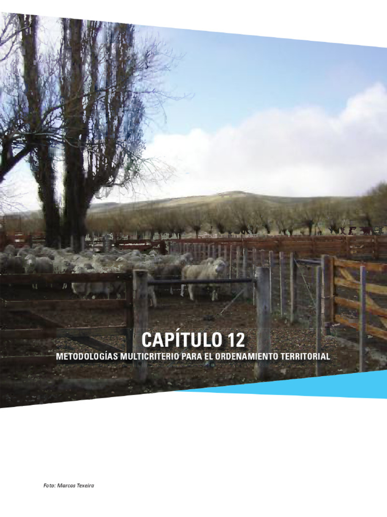 Cap12 Analisis Multicriterio | PDF | Planificación | Evaluación