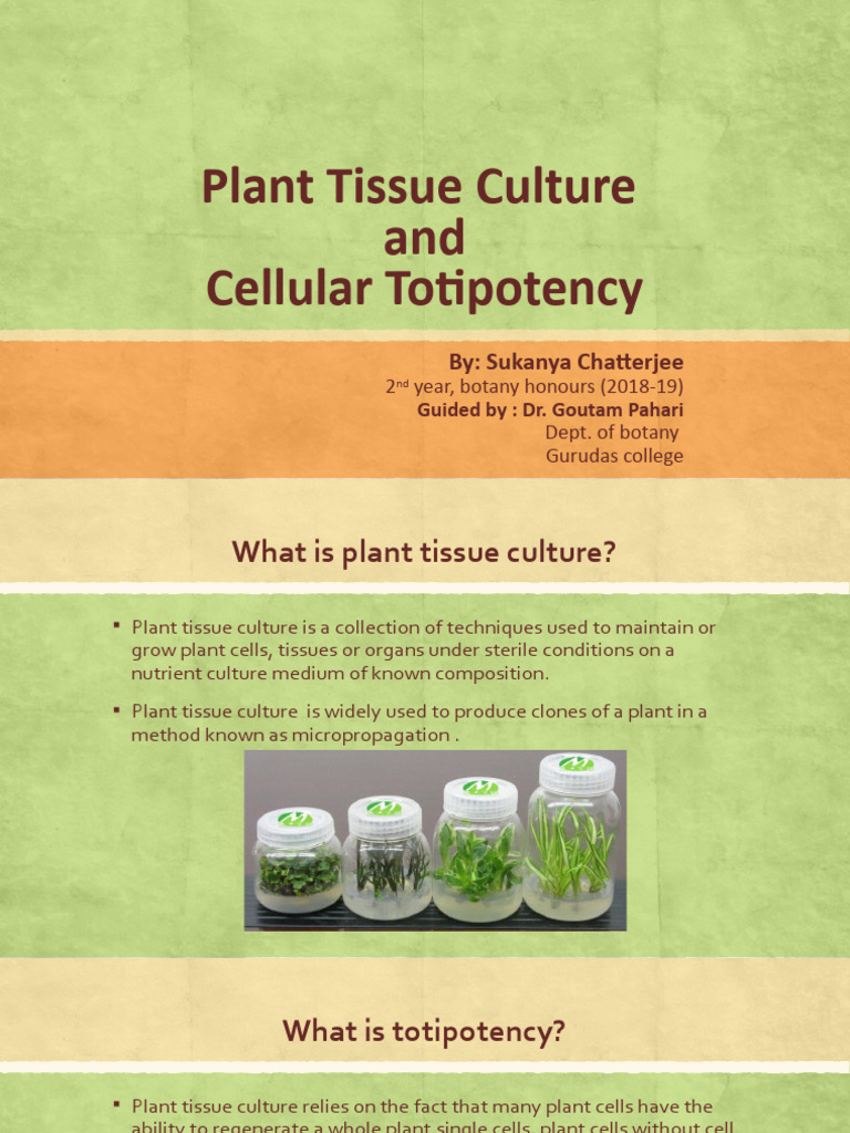 Botany Departmental Seminar Pdf Biotechnology Biological Interactions