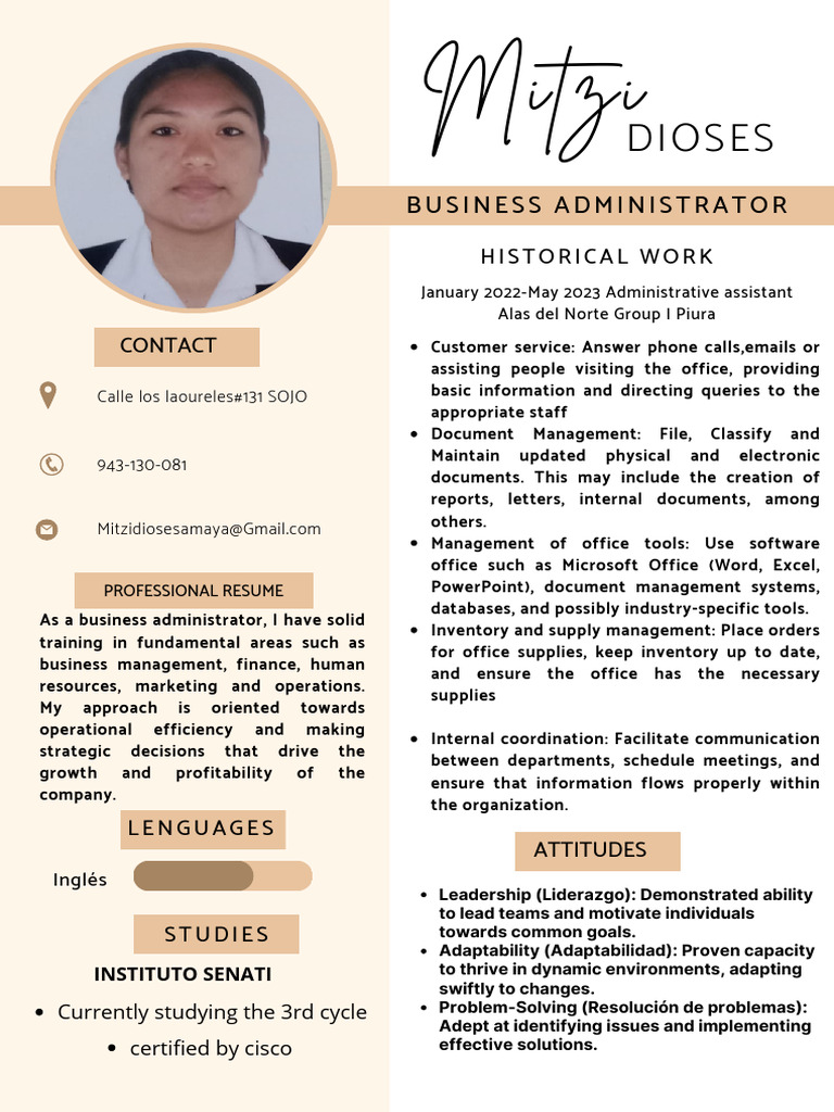 Curriculum CV Mitzi | PDF | Information Technology | Business