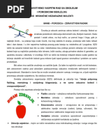 Globalno Zdravlje-Prezentacija | PDF