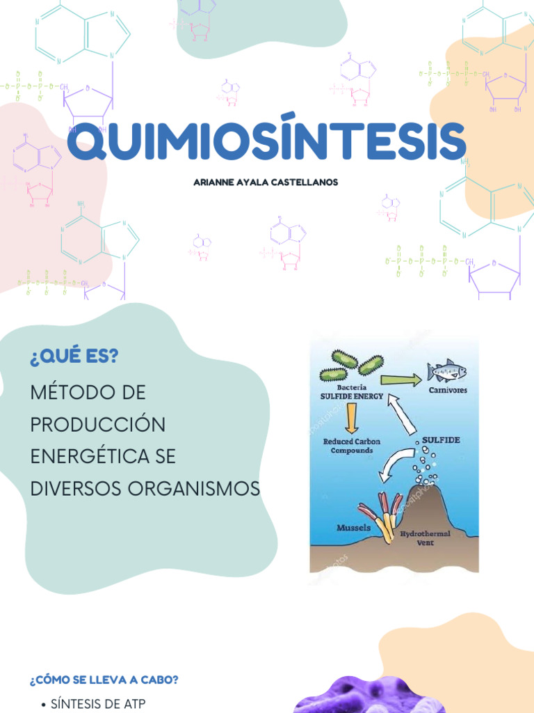 Quimiosintesis | PDF