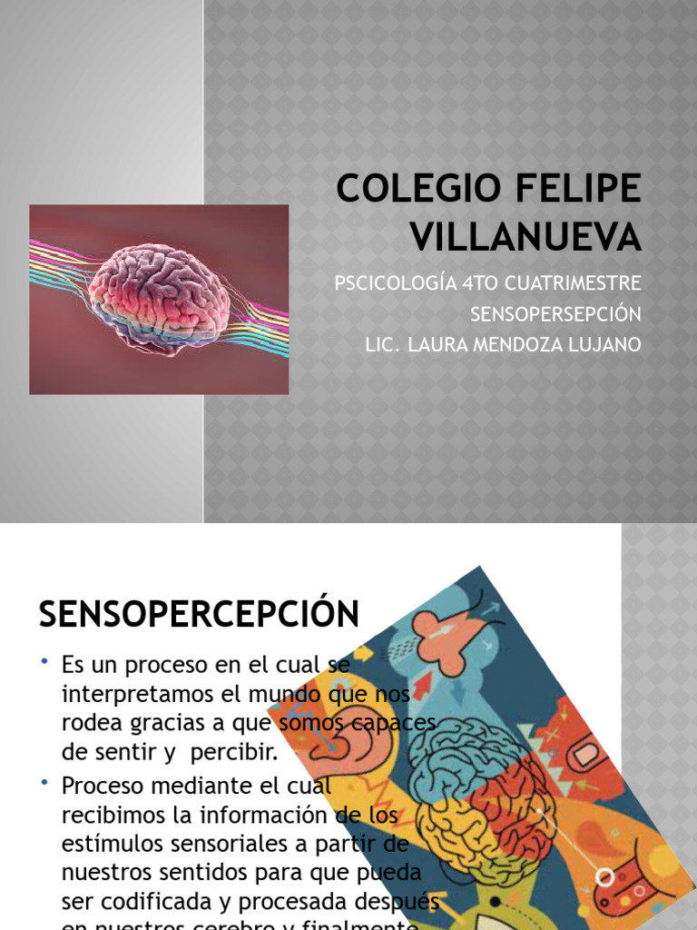 SENSOPERCEPCION | PDF | Percepción | Cerebro