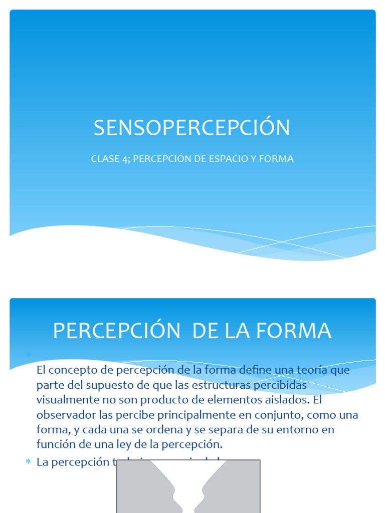 SENSOPERCEPCIÓN Clase 4 | PDF | Percepción | Percepción visual