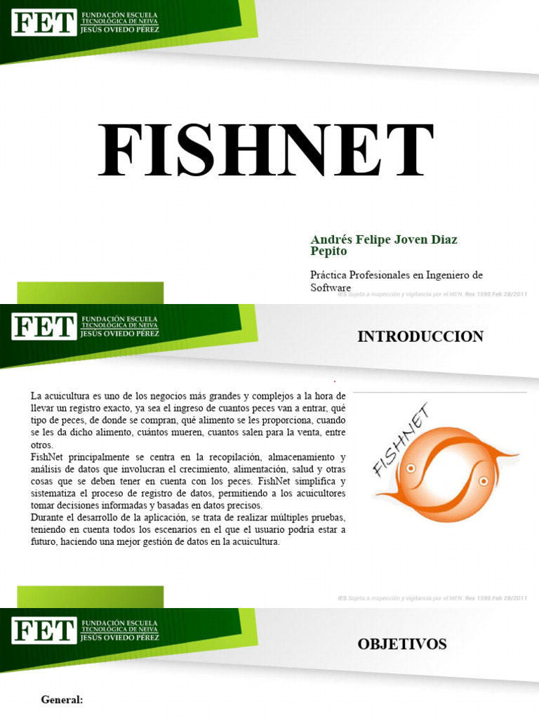 Fishnet | PDF | Software | Diseño