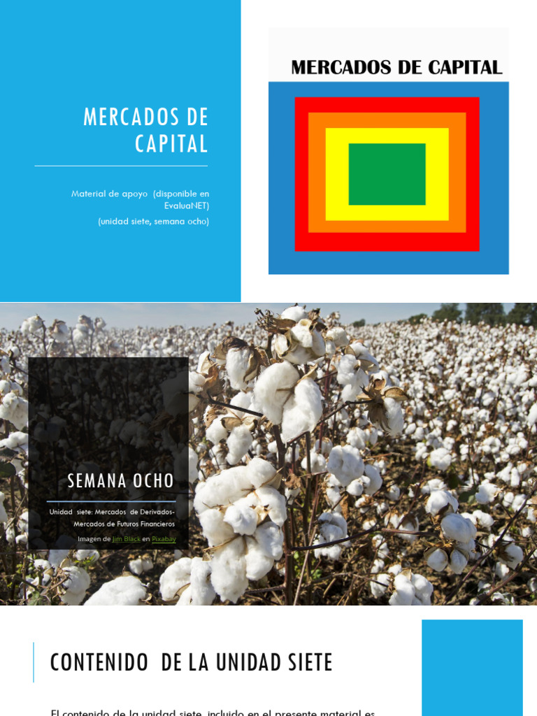 08 Semana+Mat Apoyo Unidad 7 Semana 8 2021 Rev | PDF | Contratos ...