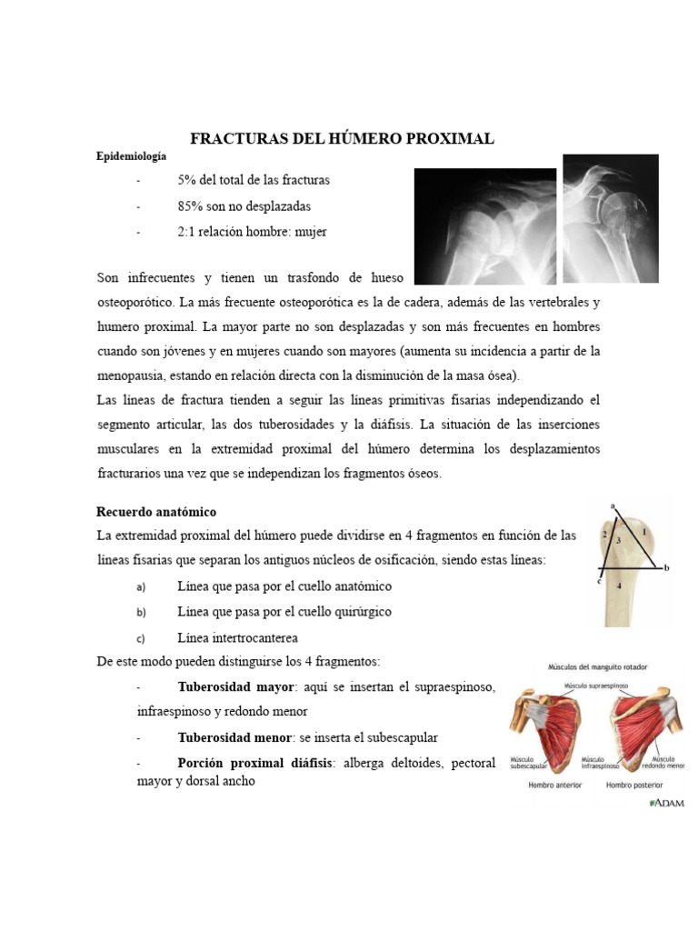 Fracturas de Humero Proximal, Diafisis y Distal | PDF | Sistema ...