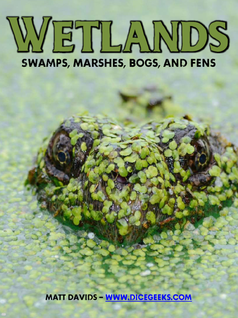 Wetlands Swamps Marshes Bogs and Fens | PDF | Wetland | Peat