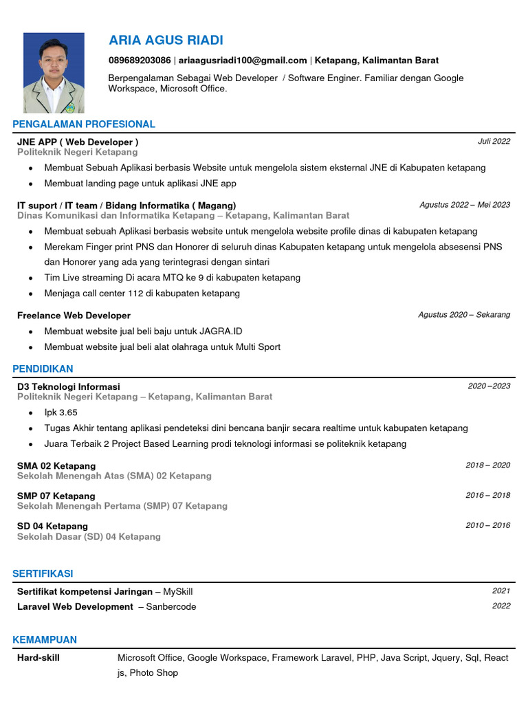 Curriculum Vitae MANUAL | PDF