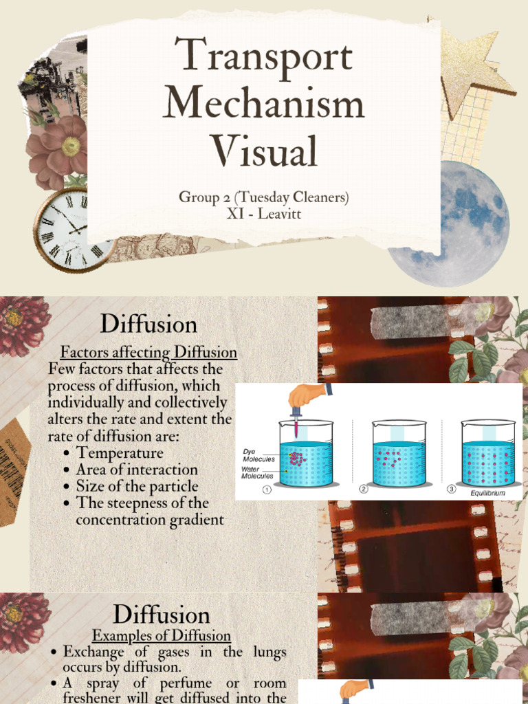 Asynchronous Activity 6 - 20231023 - 055624 - 0000 | PDF | Chemistry | Biochemistry