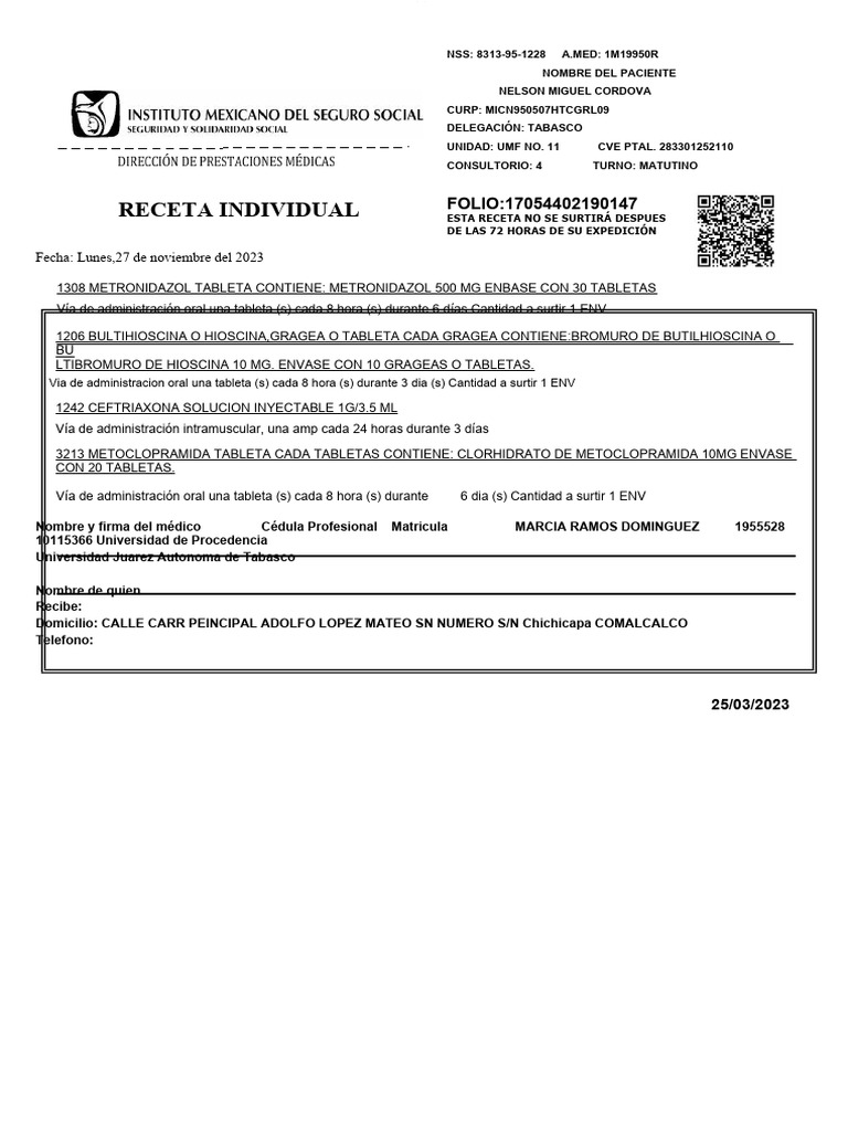 Receta Médica IMSS 2023 Editable | PDF | Medicina CLINICA | Drogas