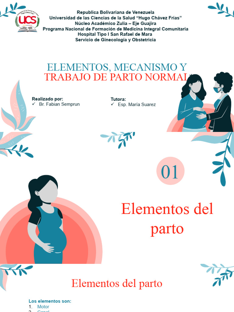 Elementos y Mecanismo del Parto Normal | PDF | Parto | Pelvis